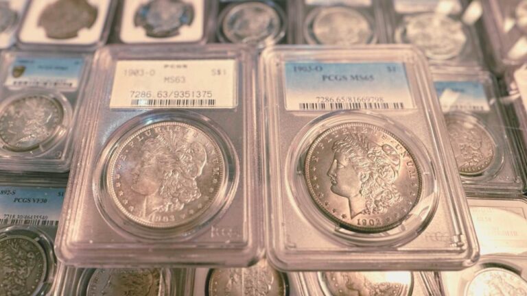 Complete Guide To Coin Grading - ROYAL BULLION GROUP